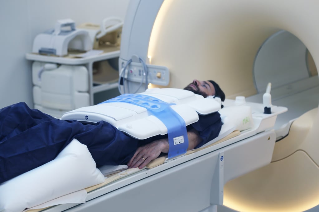 Case Study ProBelt-system